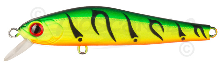 Воблеры ZipBaits - Rigge 56: описание, цена, оптовые продажи